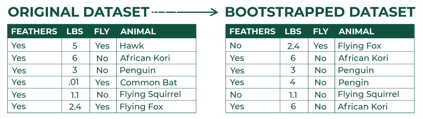 Data Science Explained: Random Forests